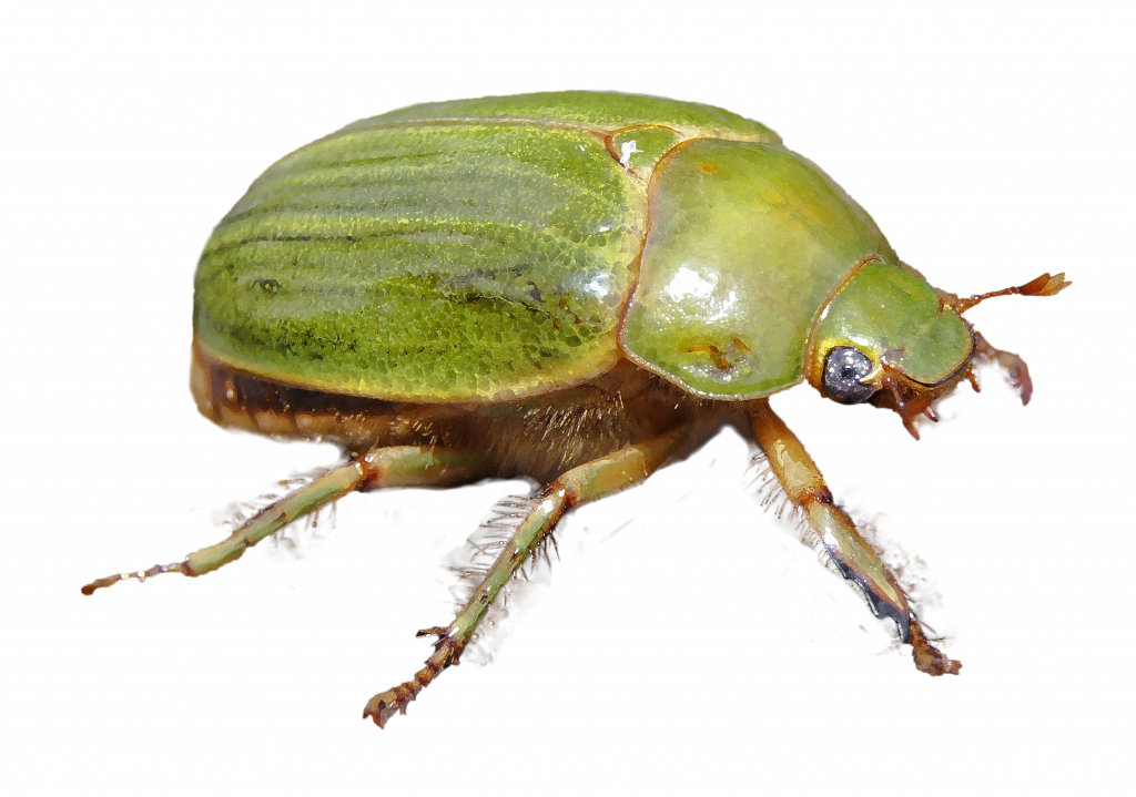 Exposiciones - Yaku Parque Museo del Agua